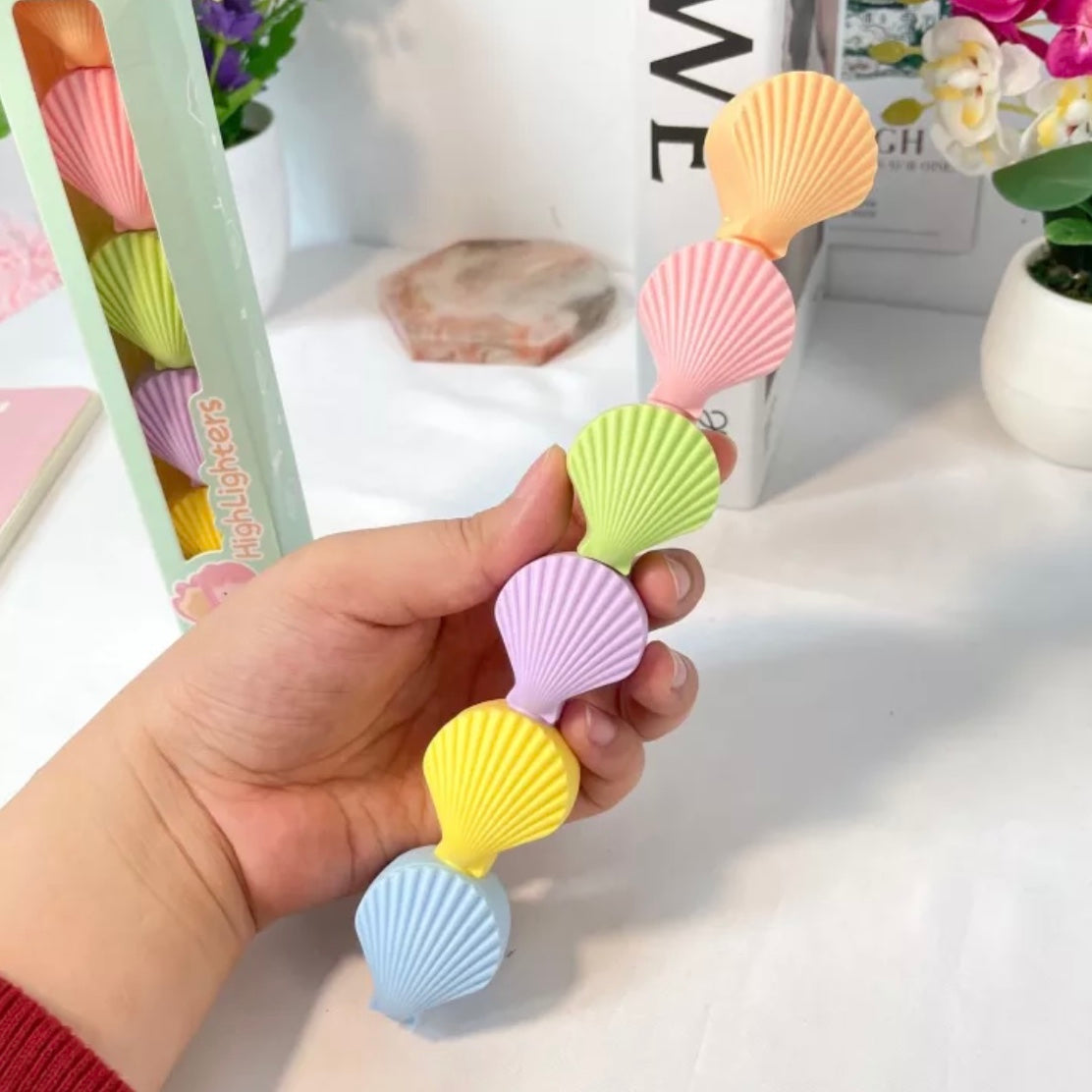 Shelly: 5-Color Stackable Sea-Shell Highlighters (Set of 6) – Fun & Co